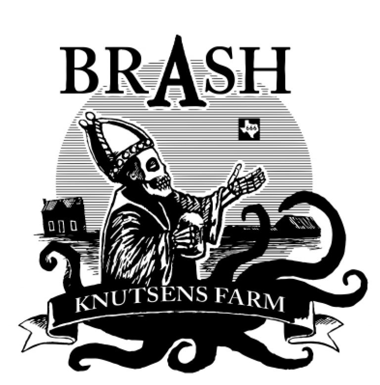 5 Breweries Put Their Twist on Saint Arnold Classics - Houston Beer Guide